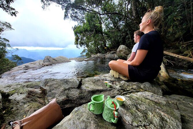 Transfer from Da Nang or Hoi An to Hue via Bach Ma National Park - The Sum Up