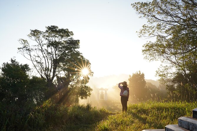 Transfer from Hue to Da Nang or Hoi An via Bach Ma National Park - Transportation and Group Size