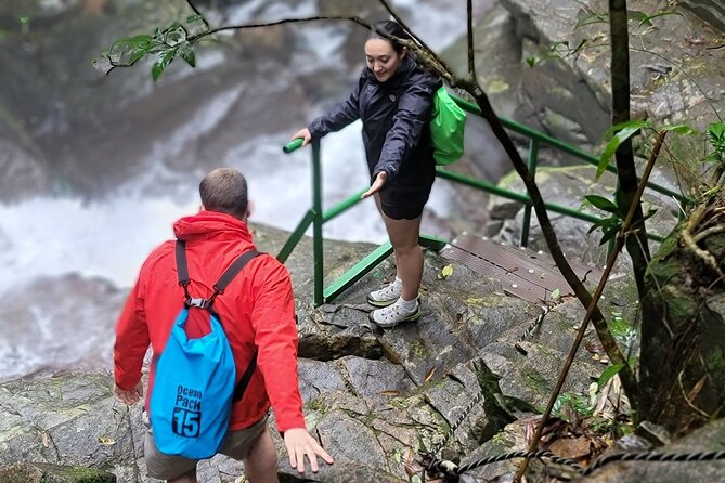 Transfer from Hue to Da Nang or Hoi An via Bach Ma National Park - Value and Practicalities