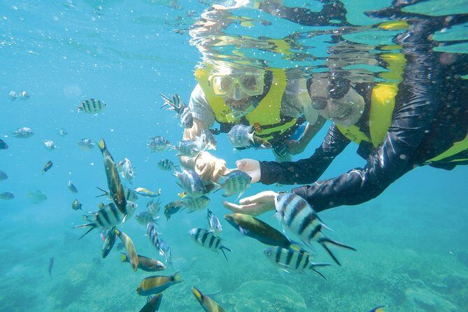 Transfer from Kota Bahru Airport to Kuala Besut - Who Is This Transfer Best For?