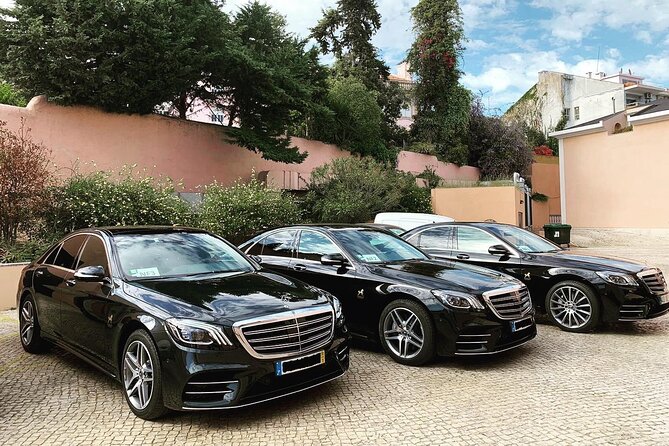 Transfer from Lisbon to Algarve (Direct) - Practical Details & Considerations