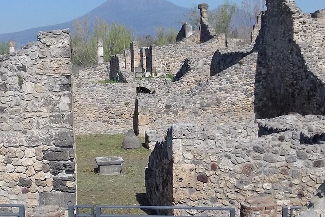 Transfer From Naples area to Sorrento with 2hr stop in Pompeii - Who Will Love This Tour?