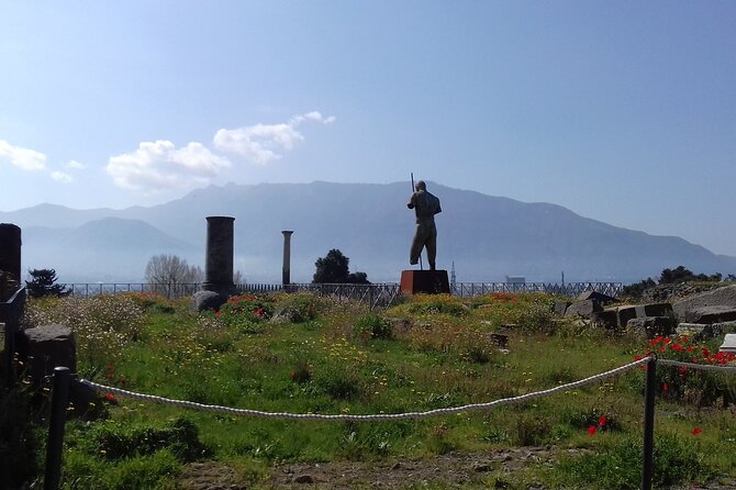 Transfer From Naples area to Sorrento with 2hr stop in Pompeii - FAQ