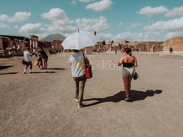 Transfer from Naples to Amalfi-Ravello with 2 hours Private Tour in Pompeii - Who Will Love This Tour?