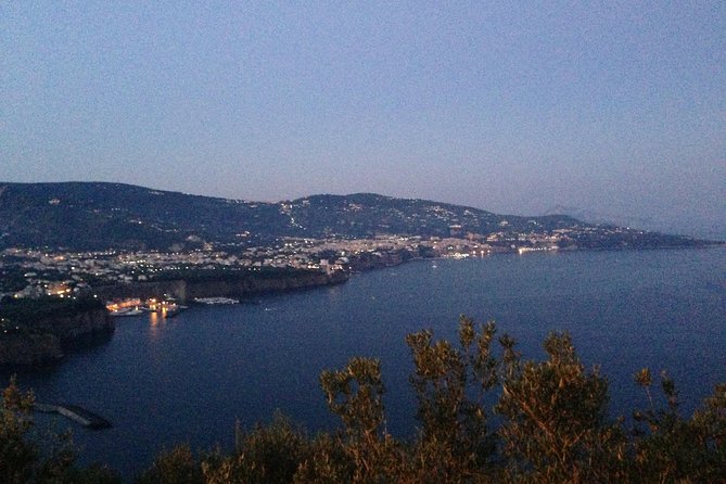 Transfer From Naples to Sorrento - Included Amenities