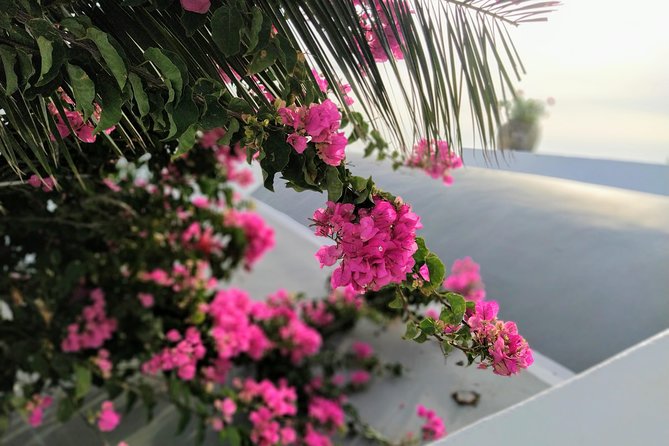 Transfer from Oia to Fira and Airport - Detailed Review of the Transfer Experience