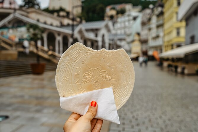 Transfer from Prague to Karlovy Vary: Private daytrip with 2h for sightseeing - Why Choose a Private Transfer from Prague to Karlovy Vary?