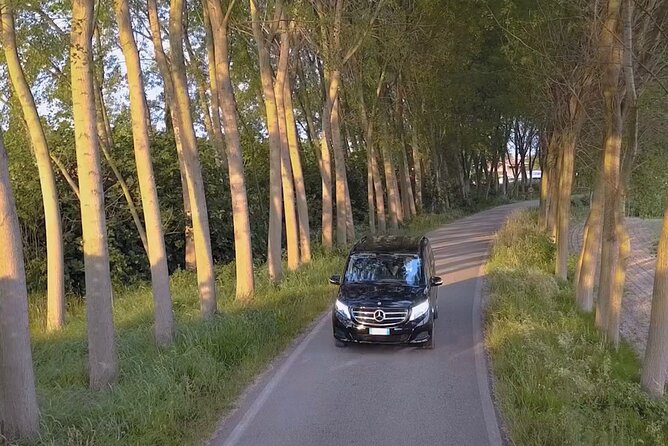 Transfer From Ravenna Cruise Terminal to Venice - What to Expect During the Transfer