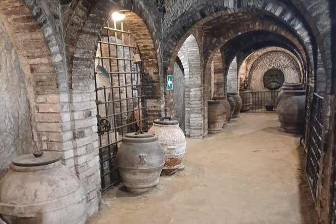 Transfer from Rome to Florence with a stop in Montepulciano - Final Thoughts: Is This Experience Right for You?