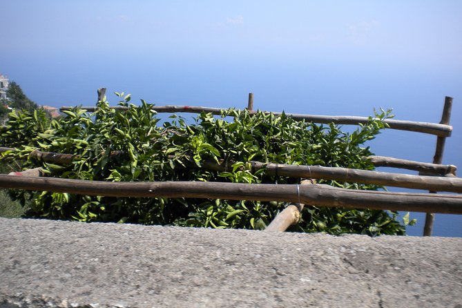 Transfer from Rome to Sorrento - Final Thoughts