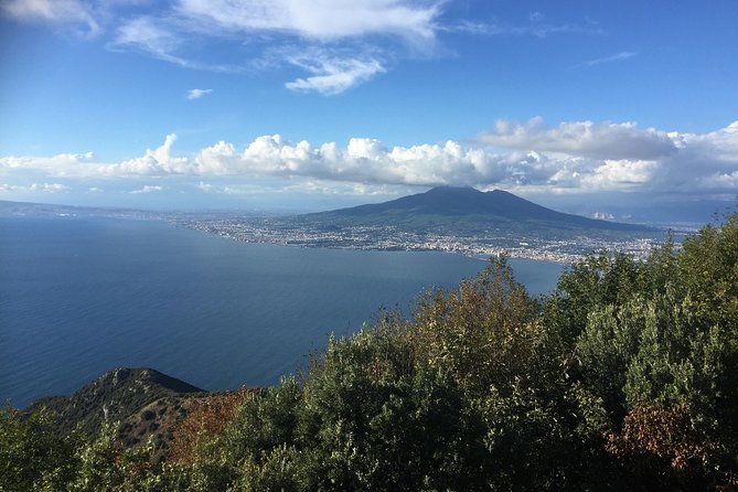 Transfer From Sorrento to Naples - Customer Reviews and Feedback