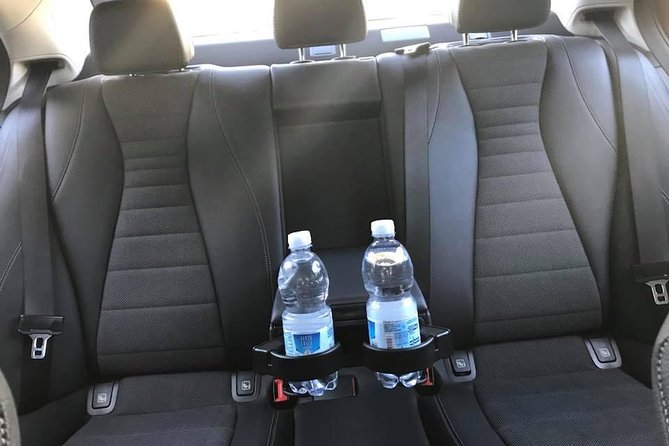 Transfer From the Port of Civitavecchia to Rome - Professionalism of Drivers