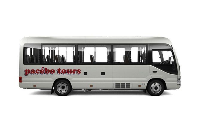 Transfer In/Out Makassar Airport - Hotels - The Experience: What You Can Expect from This Transfer Service