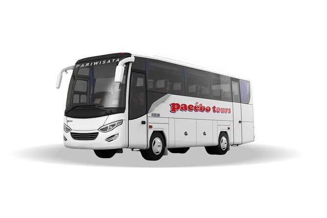 Transfer In/Out Makassar Airport - Hotels - Who Should Consider This Service?