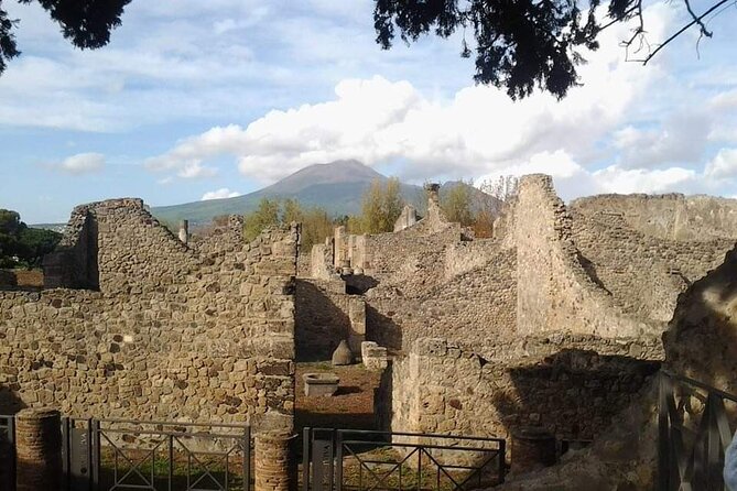 Transfer Naples airport/station to Sorrento with stop in Pompeii - Breaking Down the Experience