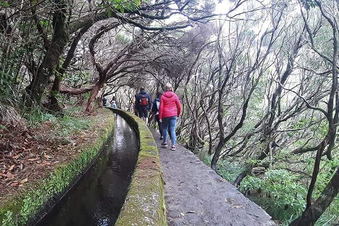 Transfer Rabacal 25 Fontes & Risco Levada Self-Guided - Preparing for Your Self-Guided Adventure