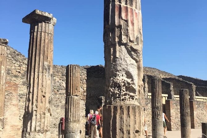 Transfer Rome to Naples with stop at Pompeii & Vice Versa - Who Should Consider This Tour?