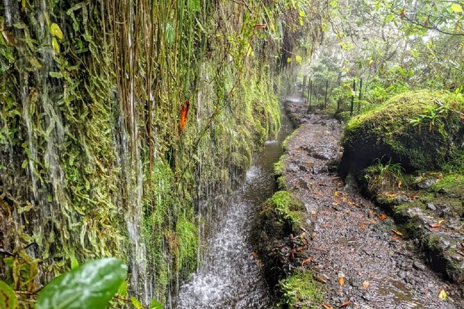 Transfer to Caldeirão Verde Levada Self-Guided Hike Queimadas - Transportation and Amenities