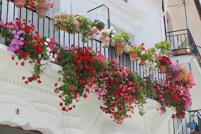 Transfer to Malaga from Seville - What Travelers Say