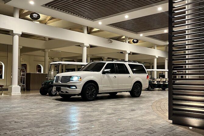 Transfer TO or FROM: Airport,Cruise,Hotel in DORADO or RIO GRANDE - Who Will Benefit Most from This Service?