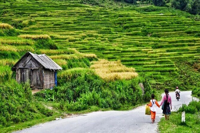 Transfer to or from Sapa in a Sleeper Bus from Hanoi - Authentic Feedback and What Travelers Say
