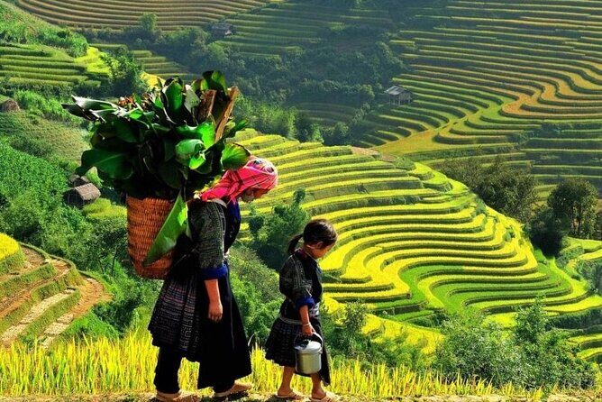 Transfer to or from Sapa in a Sleeper Bus from Hanoi - Who Should Consider This Service?