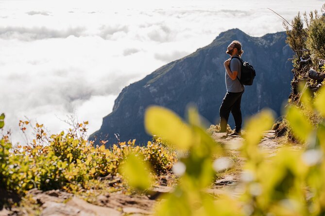 Transfer to Pico Do Arieiro Self-Guided Hike (Morning Slot) - Hike Information