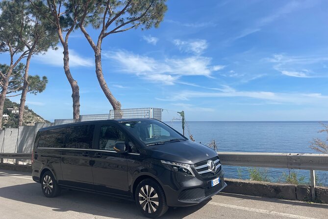 TRANSFER to the Airport/Train Station - Accessibility Options