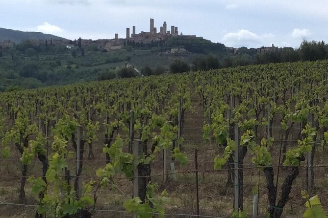 TRANSFER TOUR Florence to Lucca with a stop in San Gimignano - An Honest Look at the Florence to Lucca Transfer with San Gimignano Stop