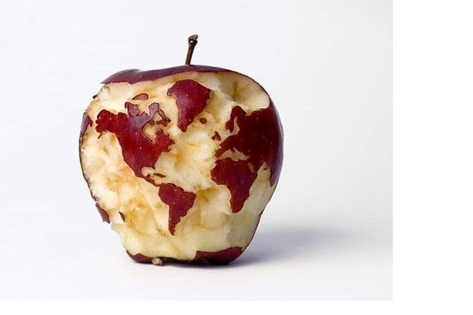 Transfers From Civitavecchia to Fiumicino/Rome - Transport Details