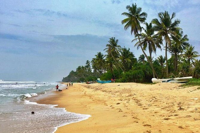 Transfers shuttle and Taxi services from Kandy - What to Expect During Your Transfer