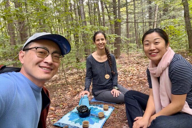 Transformative Forest Escape: A Mindful Journey for Inner Calm - The Sum Up