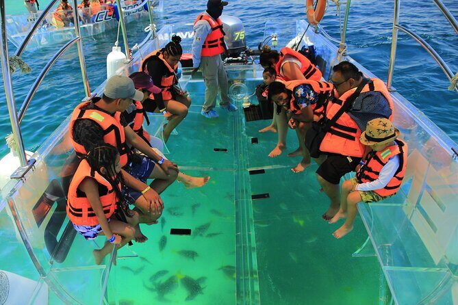 Transparent Boat Ride Around Cozumel Island + Snorkel - Who Should Consider This Tour?