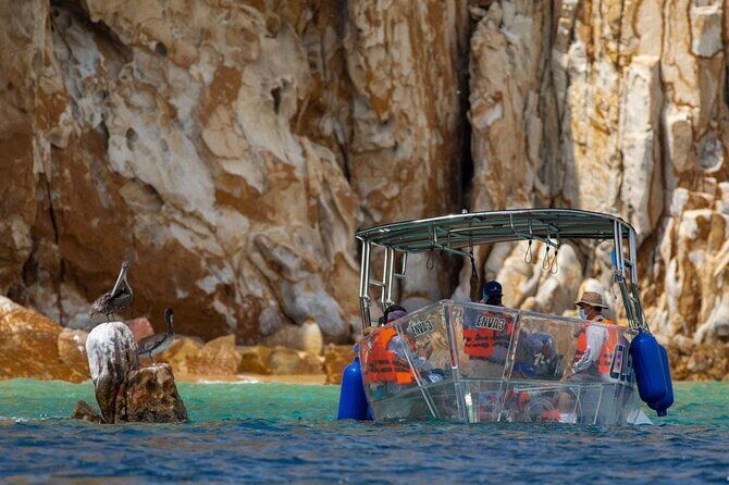 Transparent Boat Tour Cabo San Lucas Arch and Playa del Amor - Frequently Asked Questions