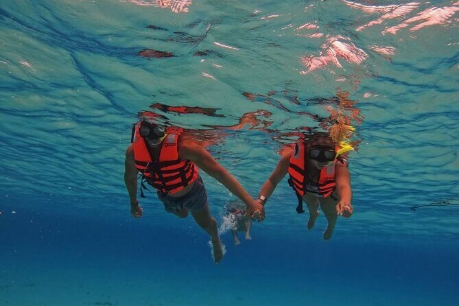 Transparent Boat Tour in Cozumel: See Marine Life Up Close - What Do Travelers Say?