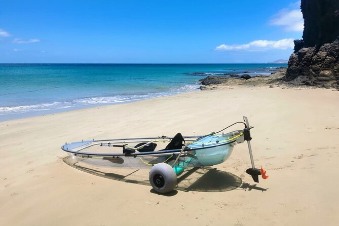 Transparent Electric Kayaks with Guide - FAQs