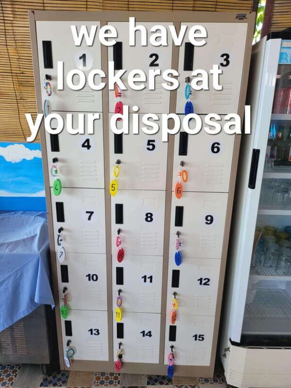 Transparent kayak and stand up paddle rental - The Sum Up