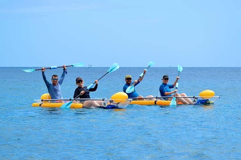 Transparent kayak rental - Authentic Marine Encounters and Local Life