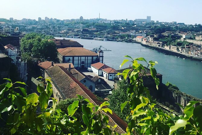 Transport Lisbon/Porto Porto/Lisbon With 2 Optional Stops - Accessibility