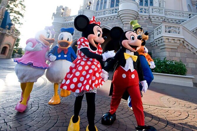 Transport to Orlando Theme Parks - An Inside Look at the Day-Trip Experience