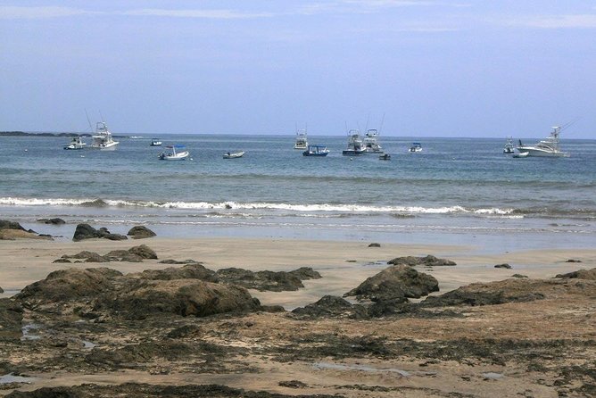 Transportation From La Fortuna to Tamarindo Beach - Driver Experience and Services