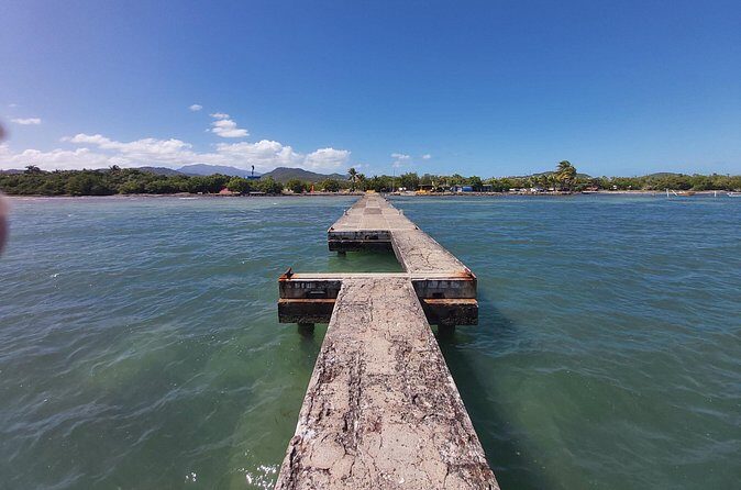 Transportation from San Juan to Ceiba ferry or airport - Why This Service Is Worth Considering