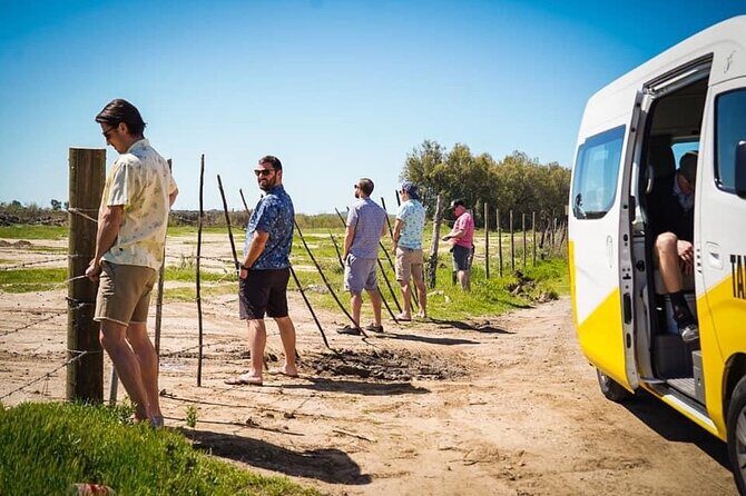 Transportation Suburban Weddings,Birthday/Valley of Guadalupe - Authentic Experiences and Real Feedback