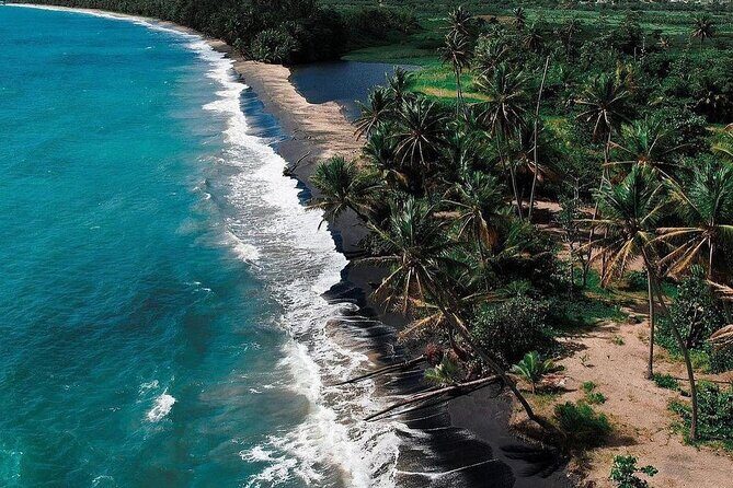 Transportation to Fajardo and Ceiba. Hotels and Airbnb vice versa One Way Trip. - Practical Details & Considerations