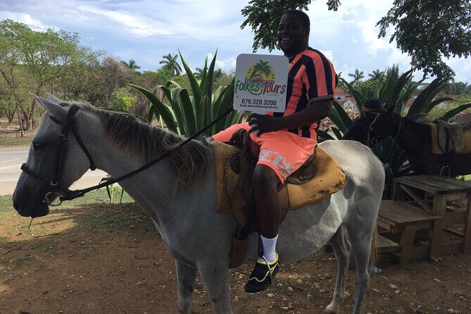 Transportation to Horse Back Ride & Swim Adventure from Ocho Rios - What to Expect from the Horseback Ride & Swim Tour