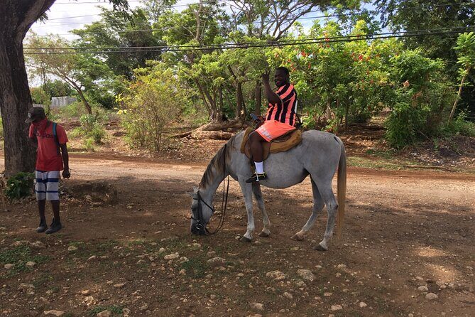 Transportation to Horse Back Ride & Swim Adventure from Ocho Rios - Who Should Consider This Tour?