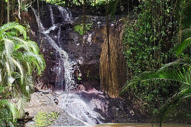 Transportation To St. Lucia Zipline Adventure - Frequently Asked Questions