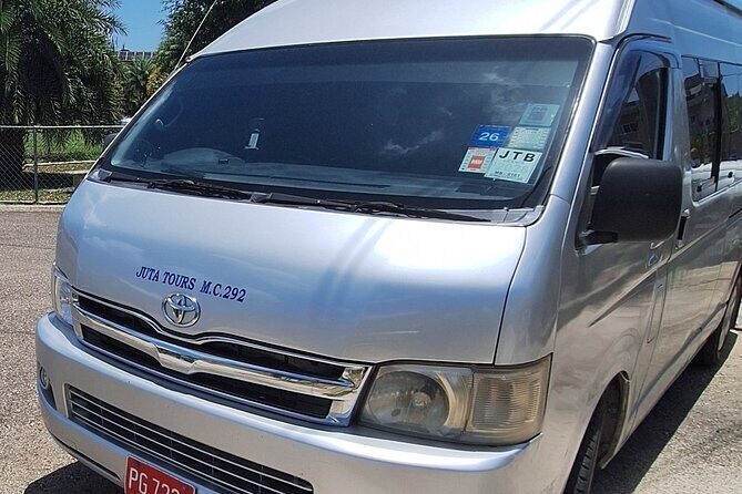 Transportation with Sightseeing to Montego Bay Bird Sanctuary - A Detailed Look at the Montego Bay Bird Sanctuary Tour