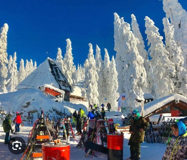 Transylvania: Christmas Markets Private Tour: Brasov & Sibiu - An Overview of the Tour