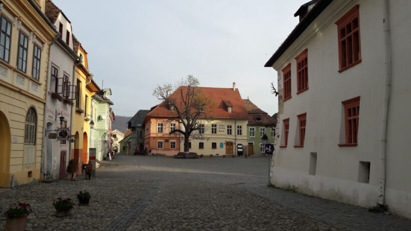 Transylvania: Dracula's Castle and Birthplace Tour - What Makes This Tour Stand Out?